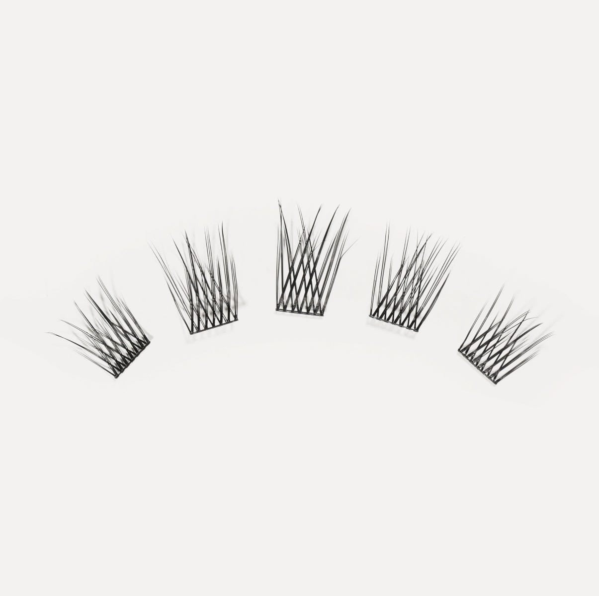 LashSense® Lashes Bloom Box – SeneGence
